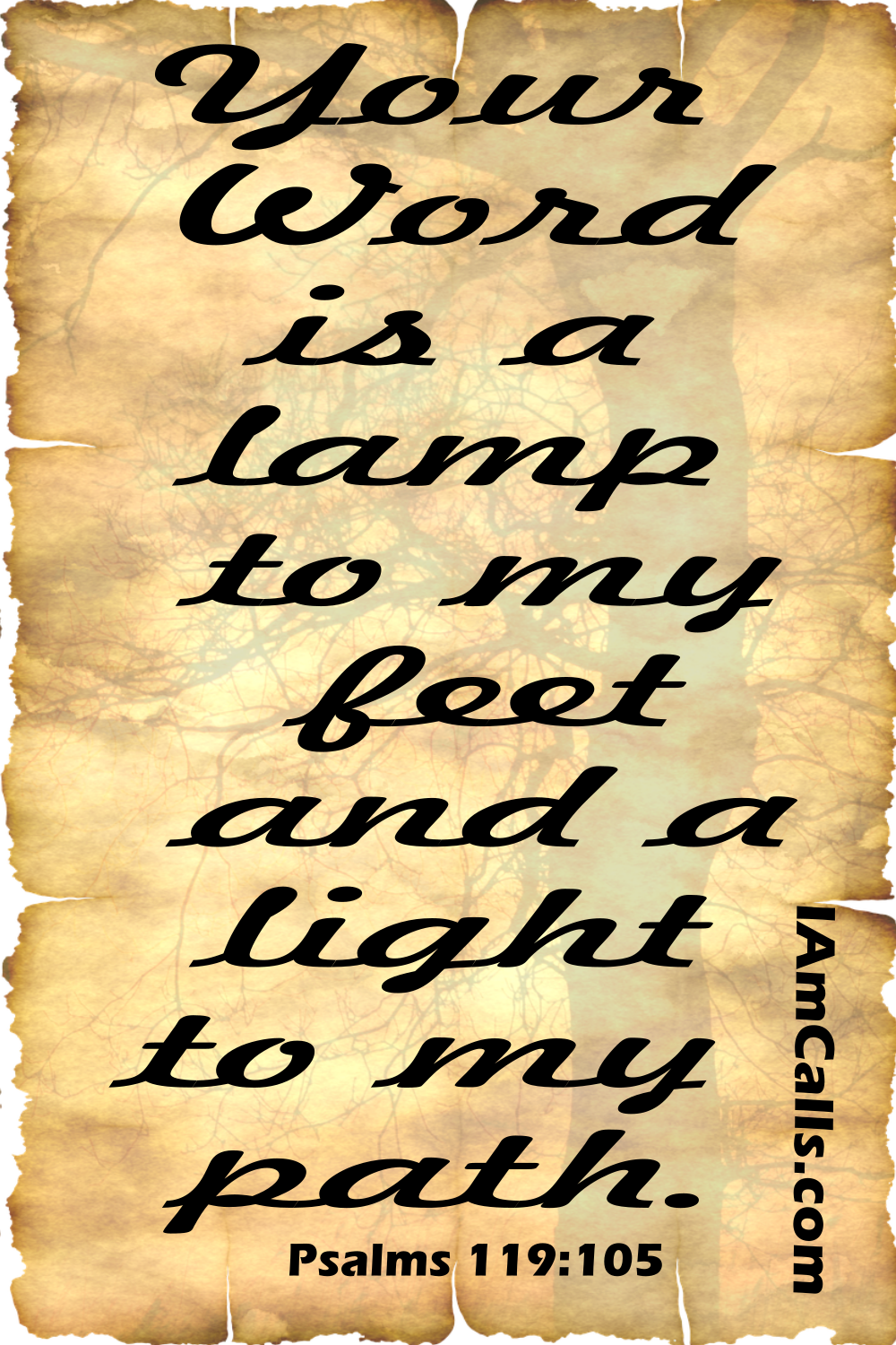 What is Your Source? - Almighty I AM Calls